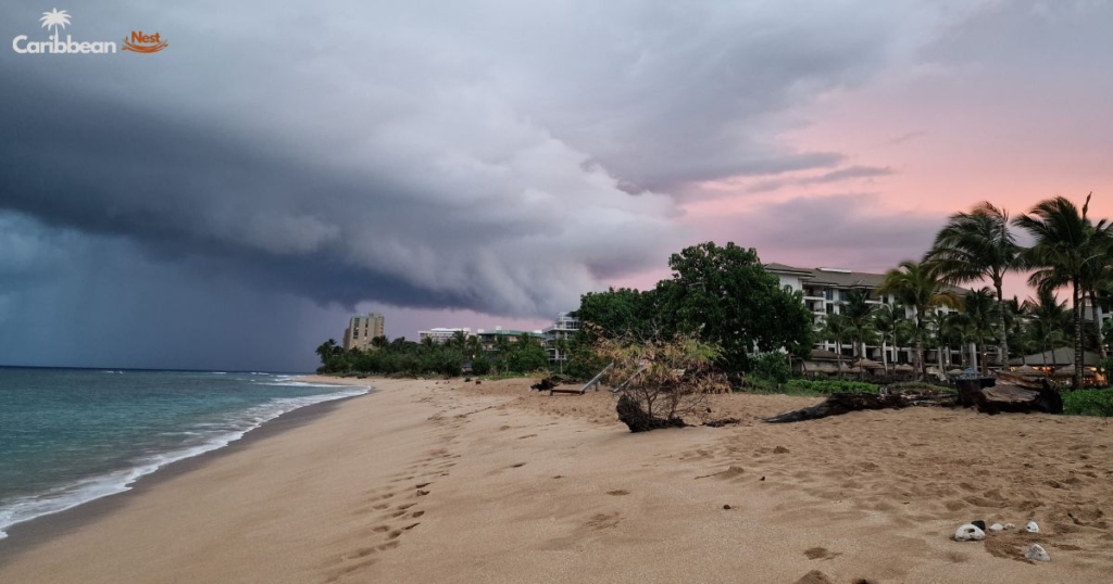 Everything You Need to Know About Aruba Hurricane Season: Travel Safety ...