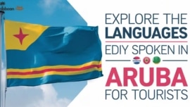 Understanding the Currency System in Aruba - Complete Guide for 2025