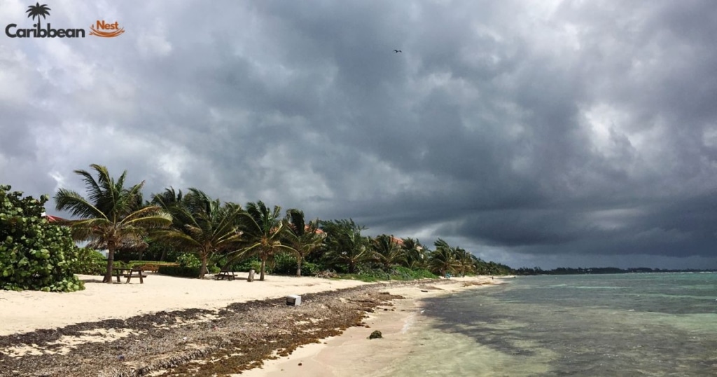 Where Is Aruba Located? Discover Aruba’s Geography, Facts, and Climate